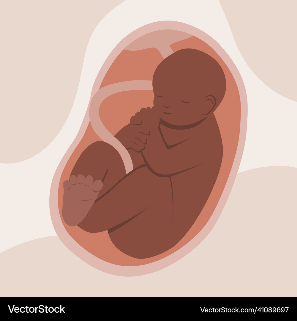 Hand drawn adorable fetus Royalty Free Vector Image