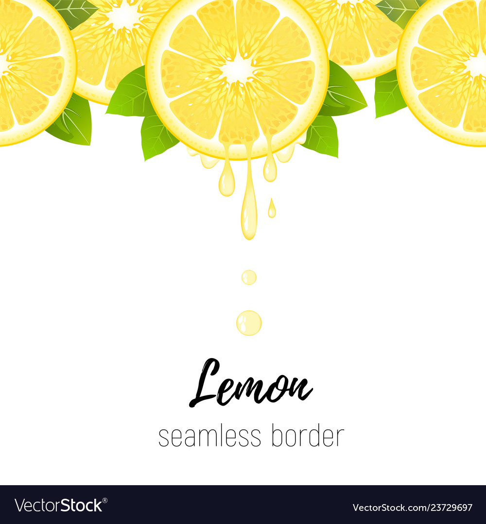 Lemon slice seamless border citrus juice drops Vector Image