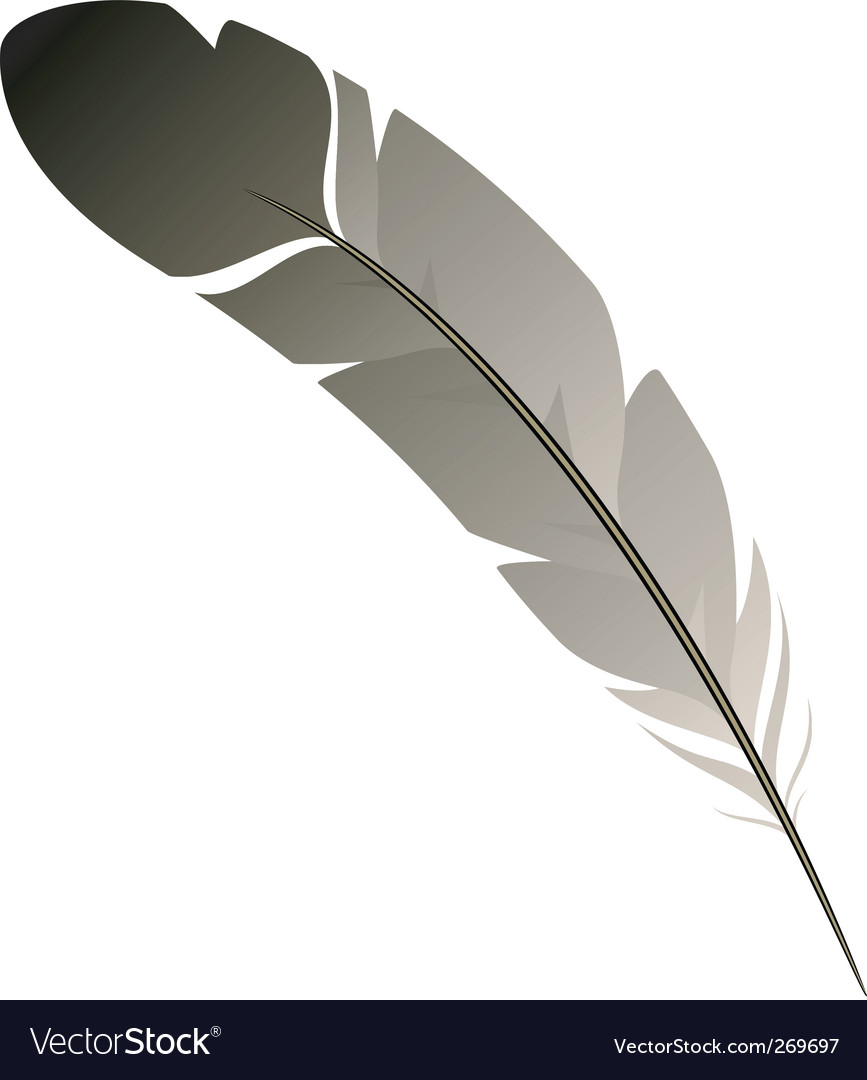 Single Feather Royalty Free Vector Image - VectorStock