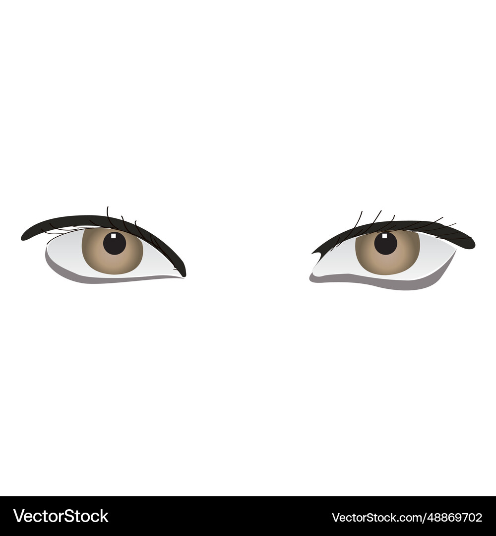 Grey woman eyes Royalty Free Vector Image - VectorStock