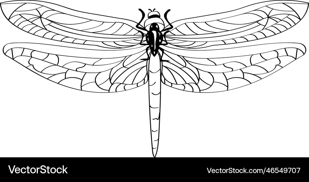 Dragonfly animal monochrome style Royalty Free Vector Image