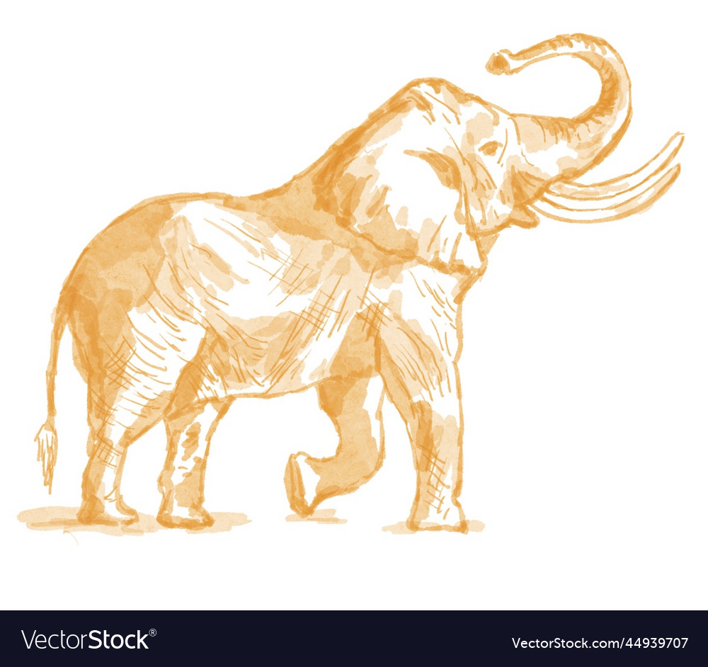 Elephant Royalty Free Vector Image - VectorStock