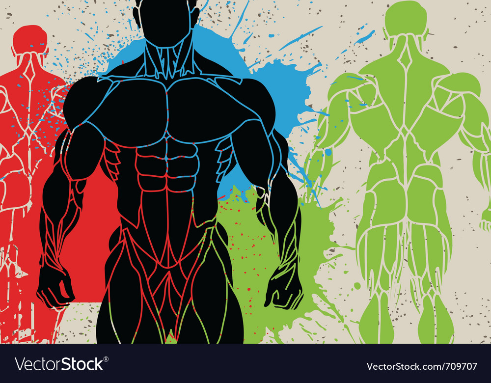 Strong man Royalty Free Vector Image - VectorStock