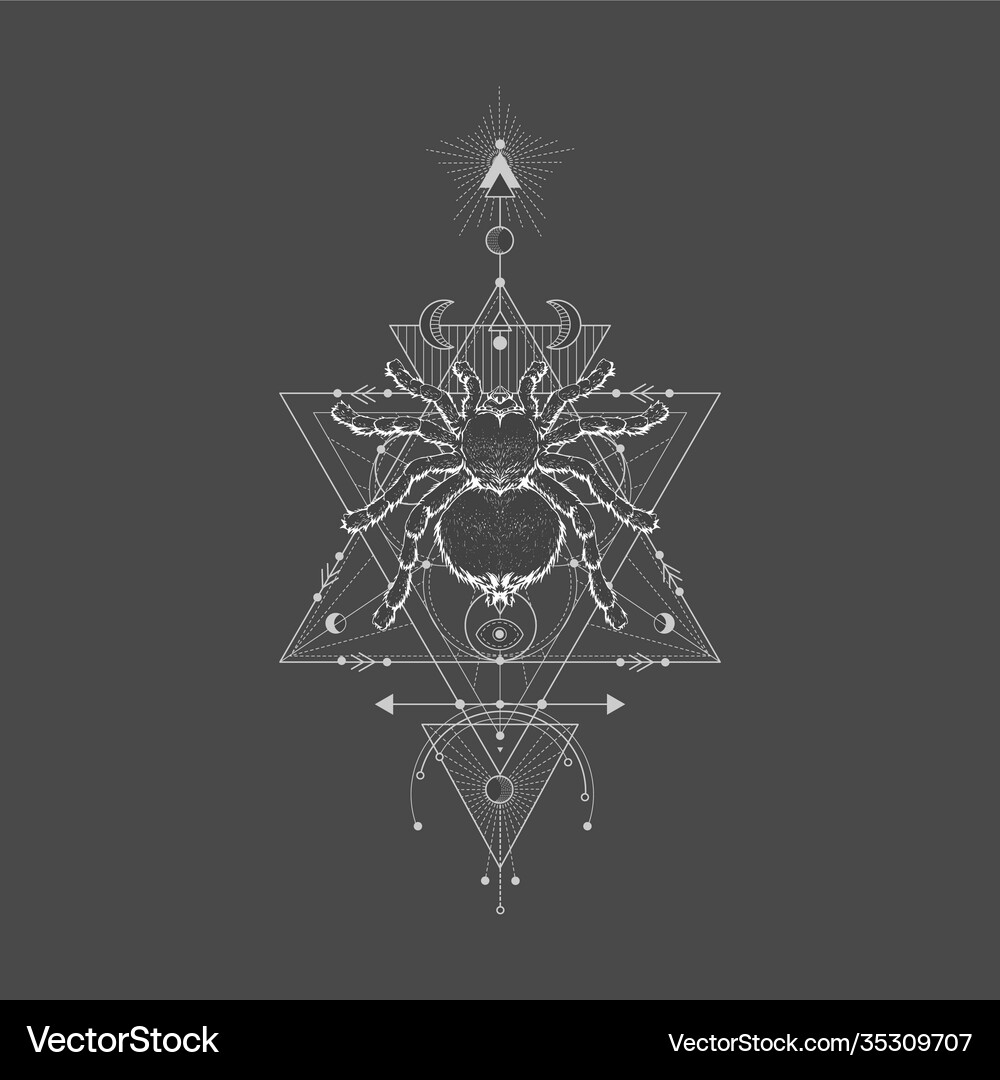 Tarantula and sacred symbol Royalty Free Vector Image