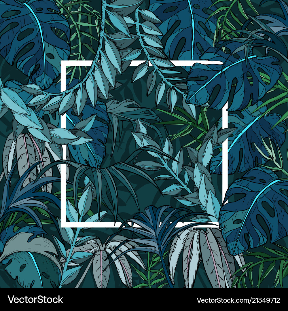 Background with jungle foliage and white frame Vector Image
