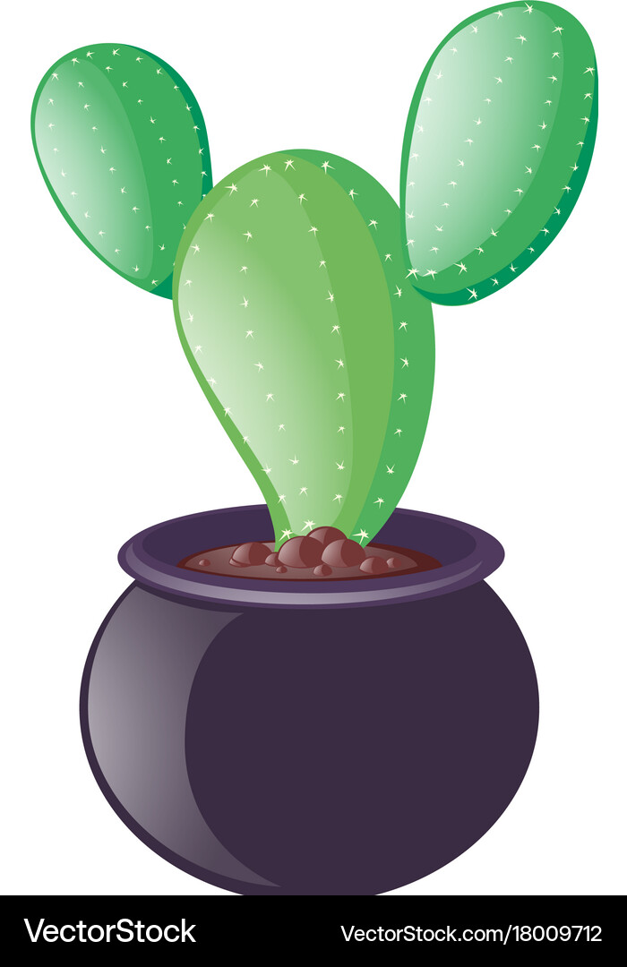 Cactus in the black pot Royalty Free Vector Image