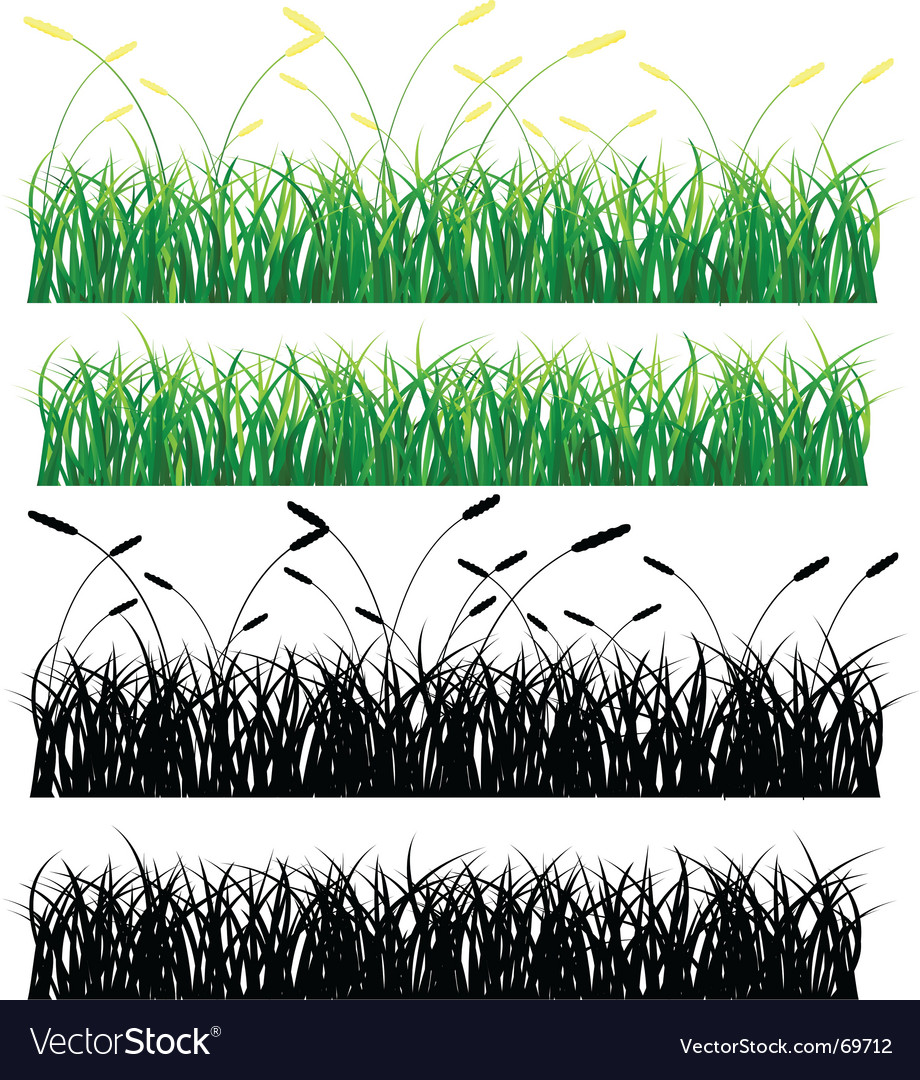 Grass Royalty Free Vector Image - VectorStock