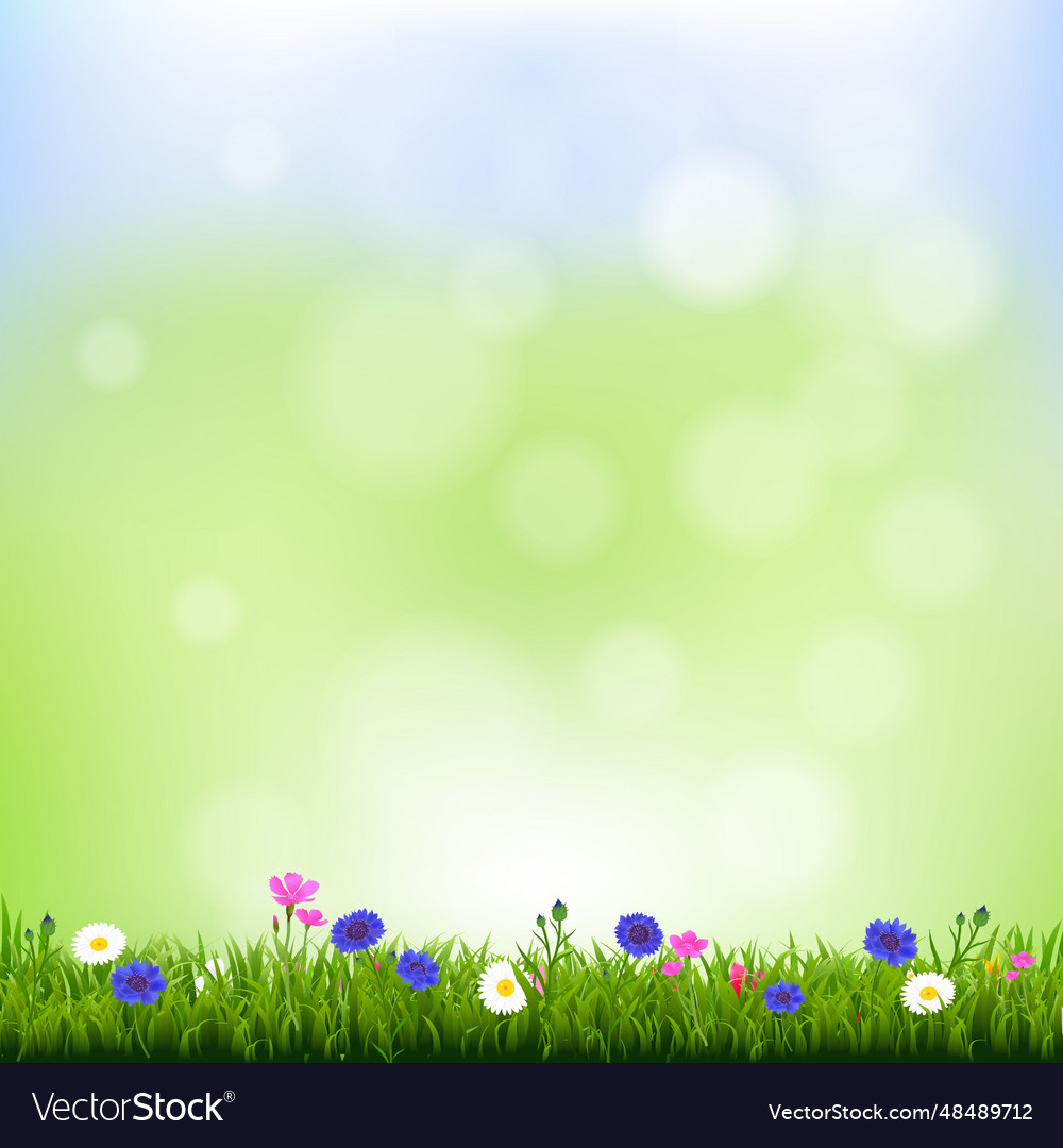 Spring background Royalty Free Vector Image - VectorStock