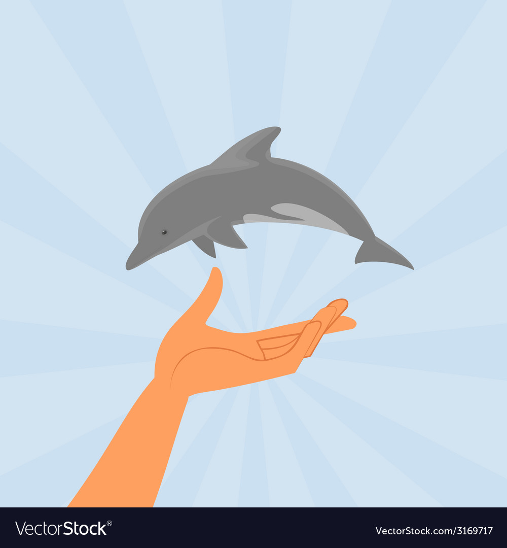Dolphin Royalty Free Vector Image - VectorStock