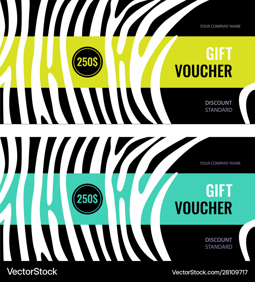 Horizontal gift voucher white lines on black Vector Image