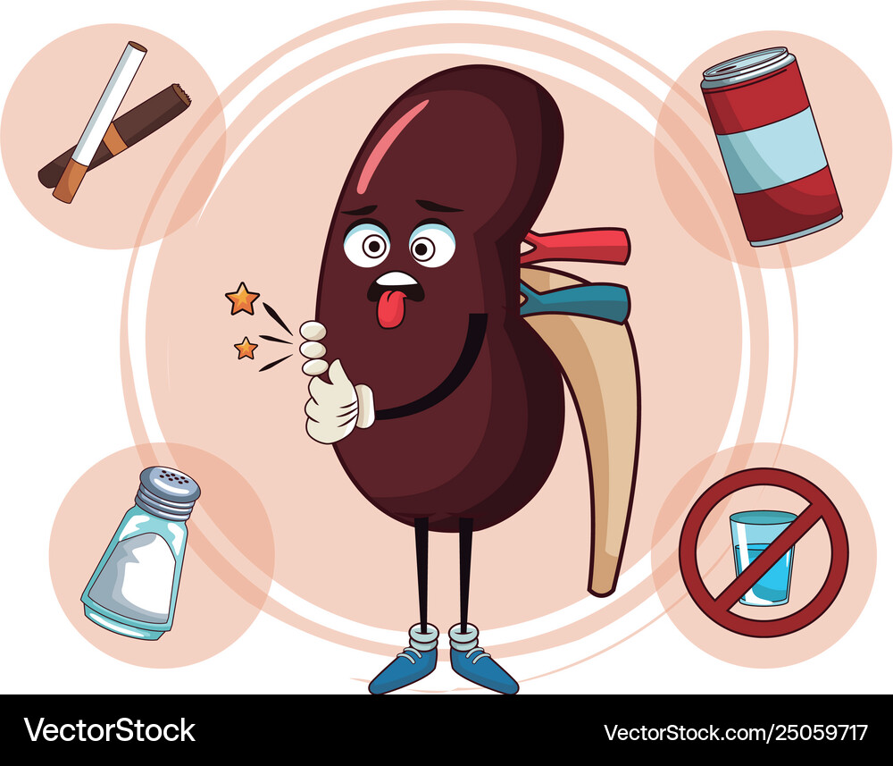 Kidney funny cartoon Royalty Free Vector Image