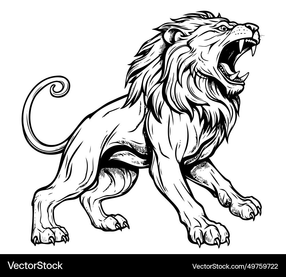 Roaring lion full size sketch hand drawn Vector Image