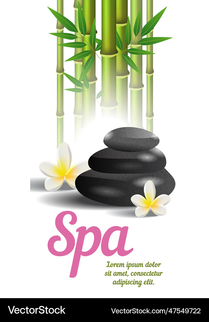Spa lettering bamboo and stones Royalty Free Vector Image