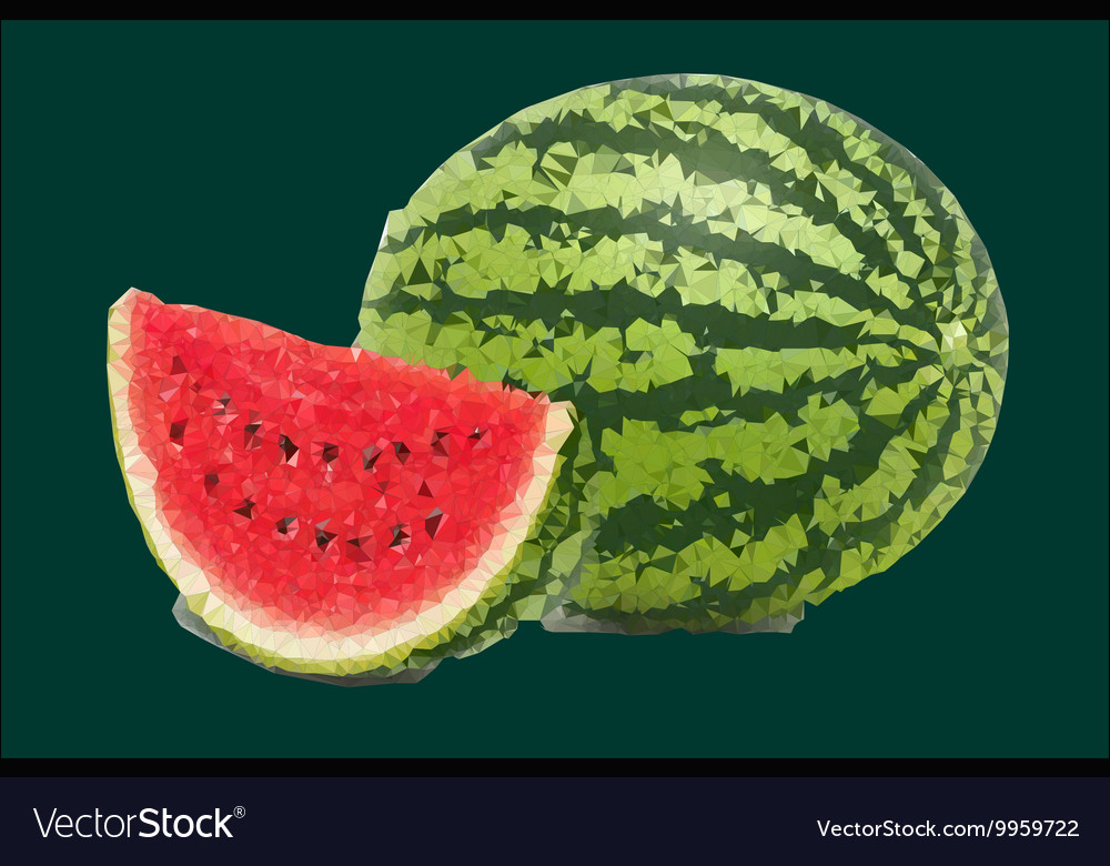 Watermelon Royalty Free Vector Image - VectorStock