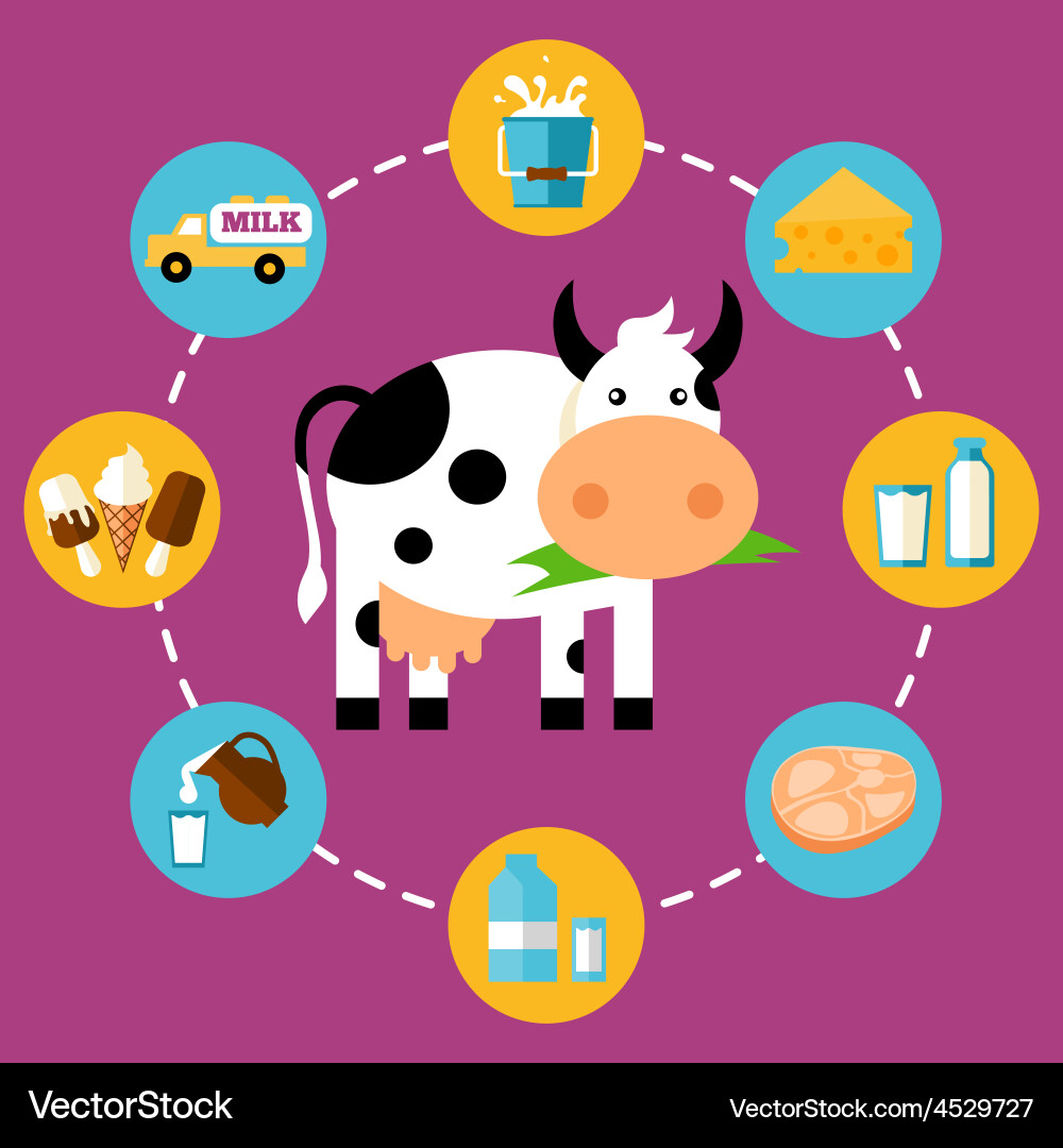 Infographics milk products Royalty Free Vector Image