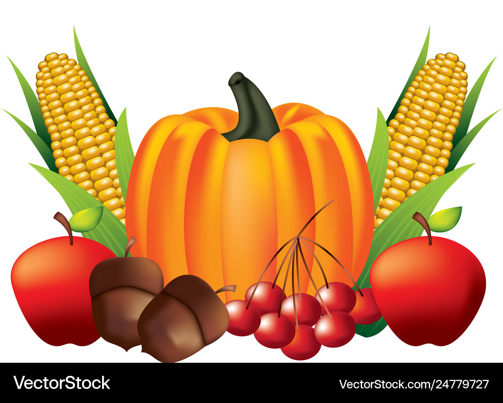 Pumpkin corn apple acorn and cherries Royalty Free Vector