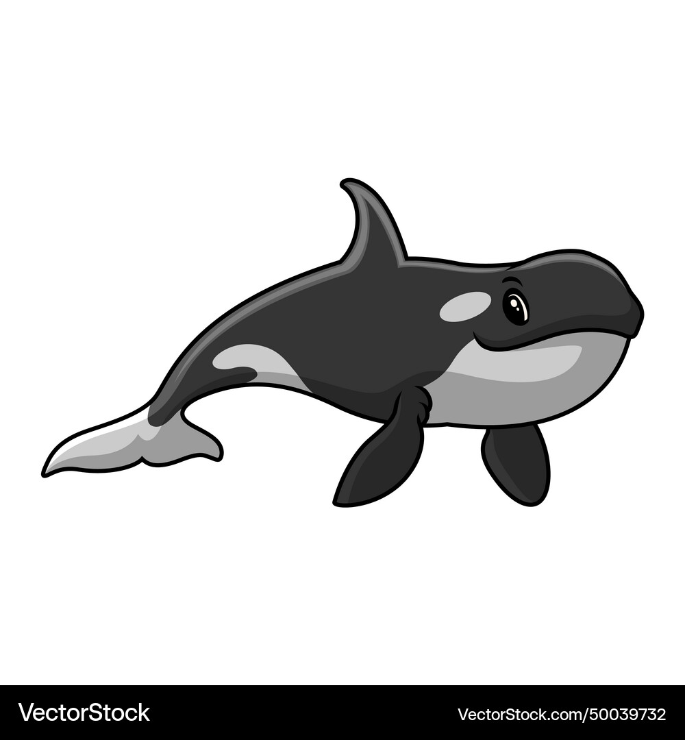 Cute cartoon orca a swimming Royalty Free Vector Image