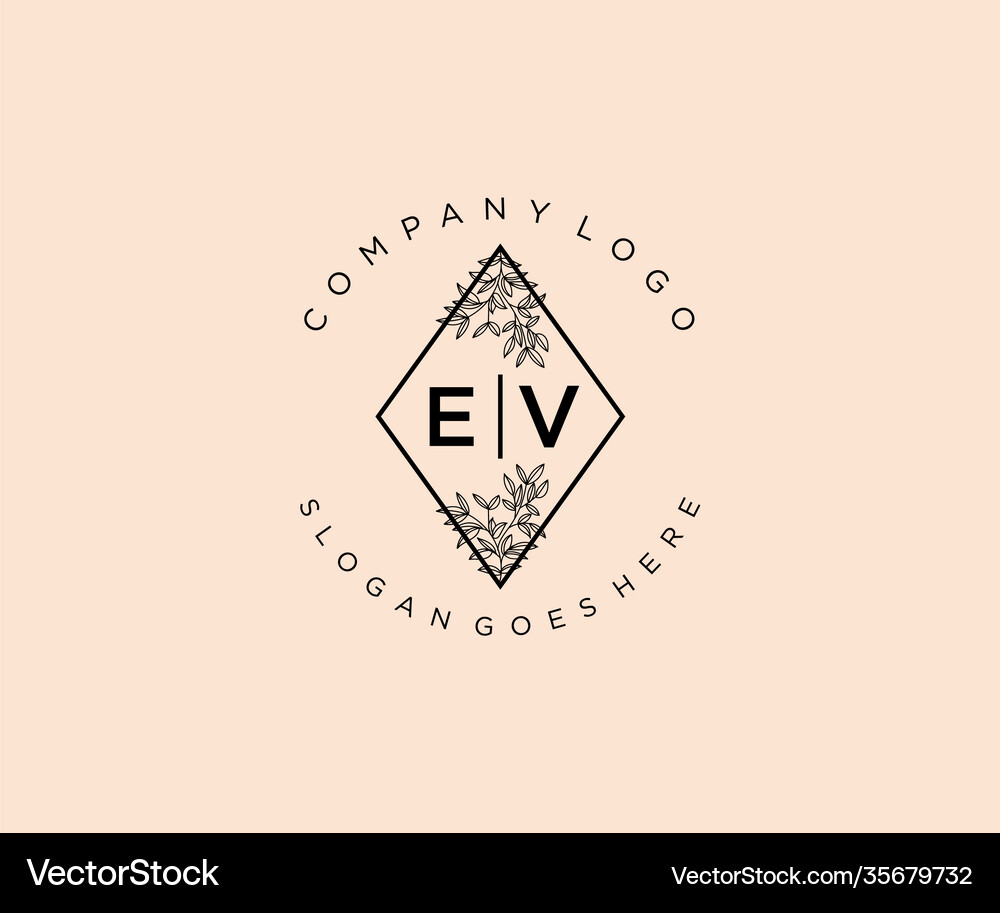 Initial ev letters beautiful floral feminine Vector Image