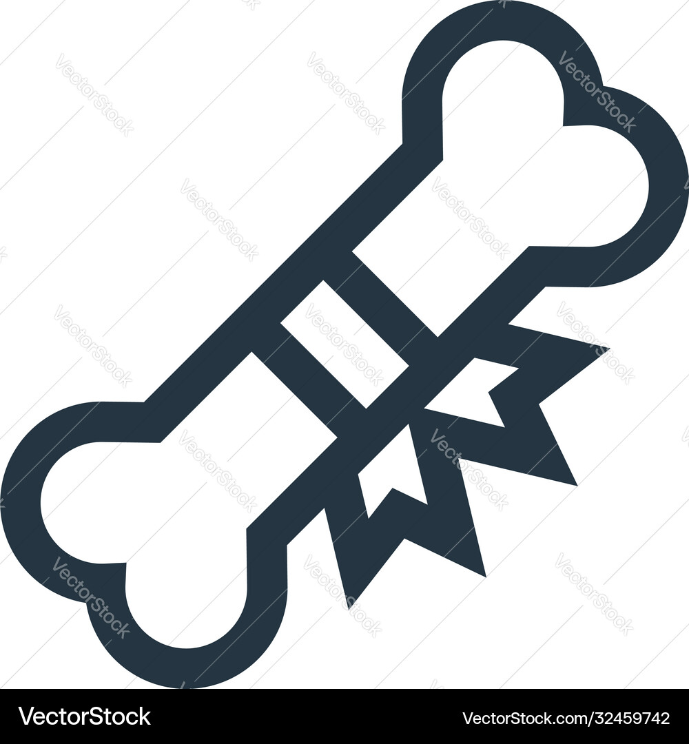 Bone icon isolated on white background outline Vector Image