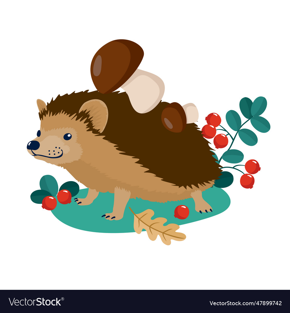 Hedgehog mushroom Royalty Free Vector Image - VectorStock