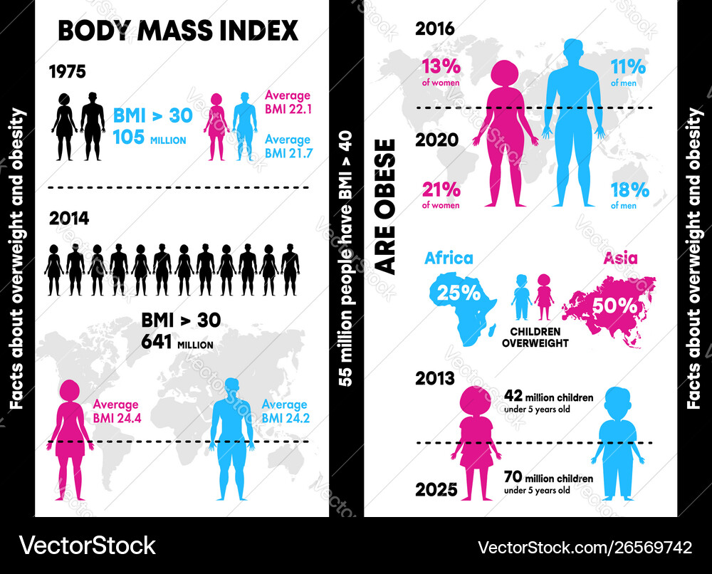 Infographics obesity and excess weight gradient Vector Image