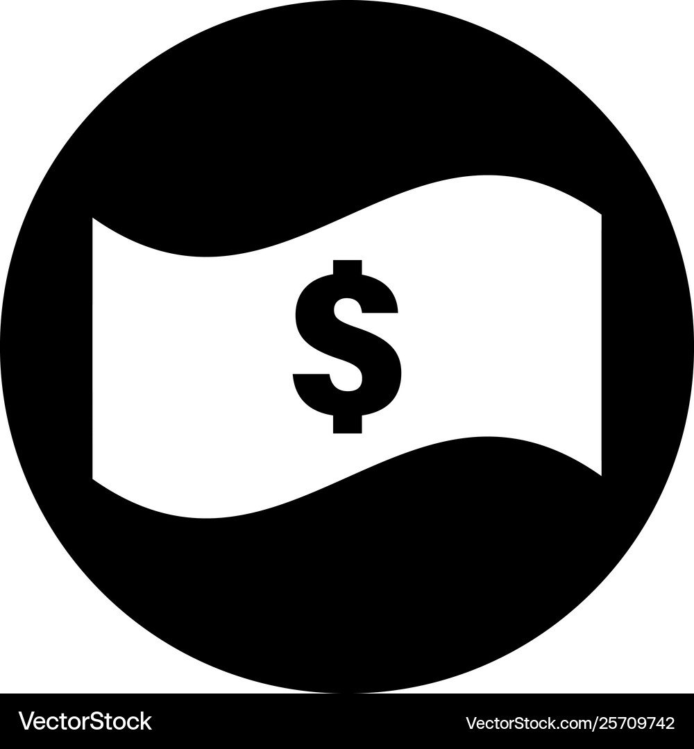 Money dollar icon graphic design template Vector Image