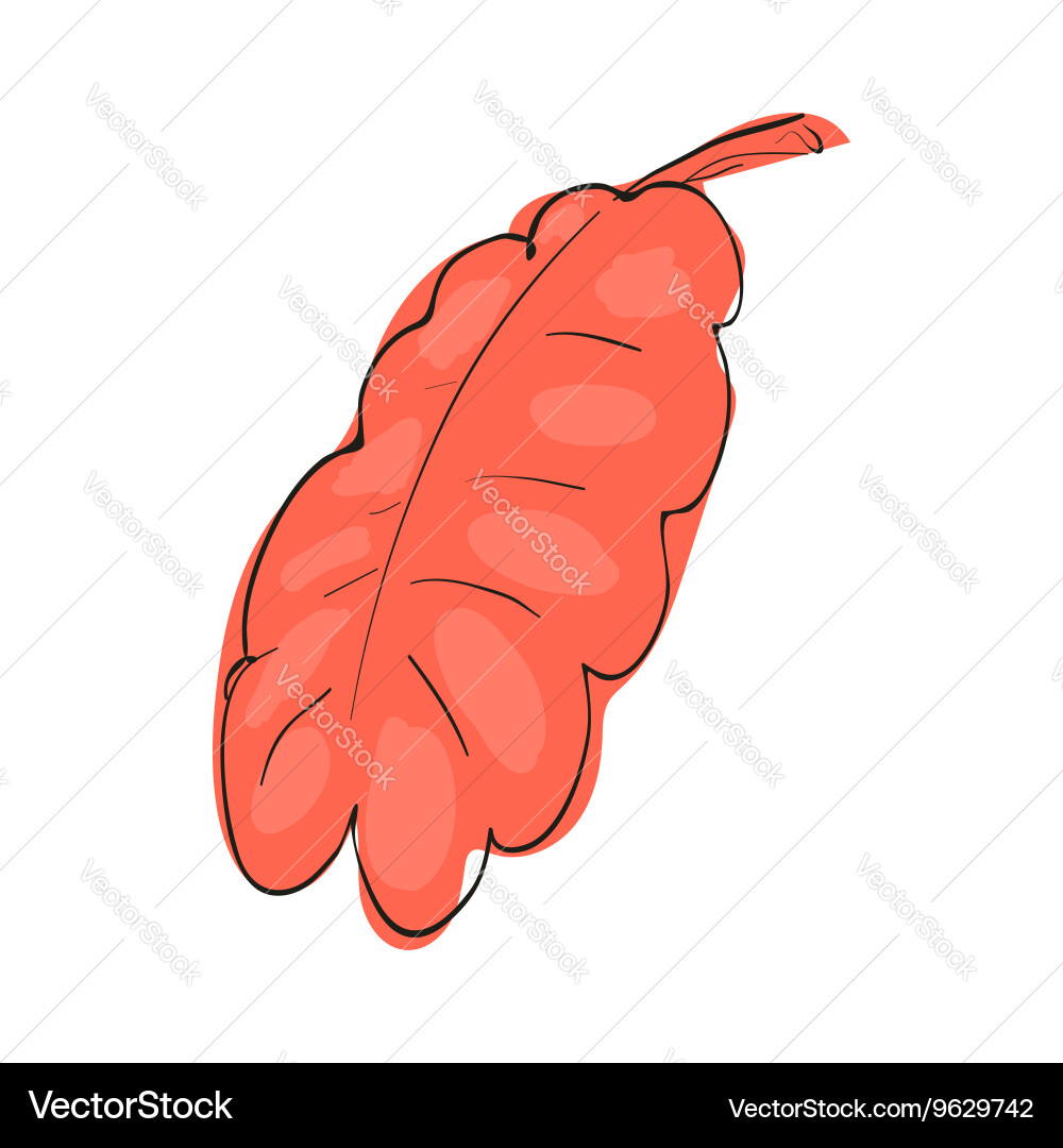 Red oak leaf icon cartoon style Royalty Free Vector Image