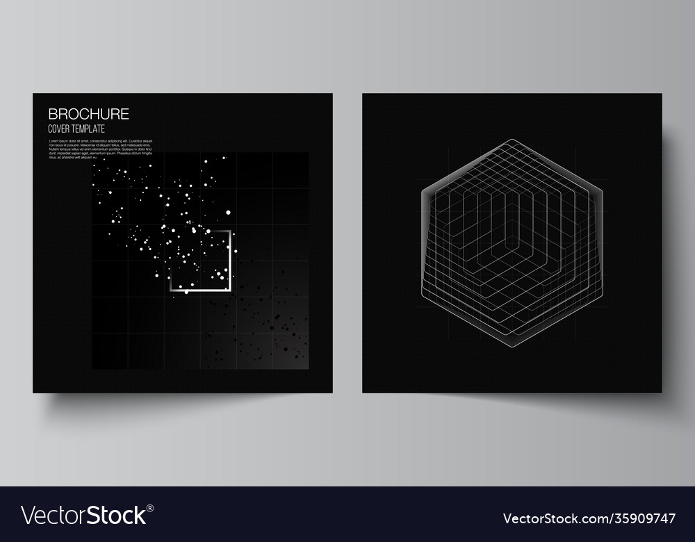 Layout two square covers design Royalty Free Vector Image