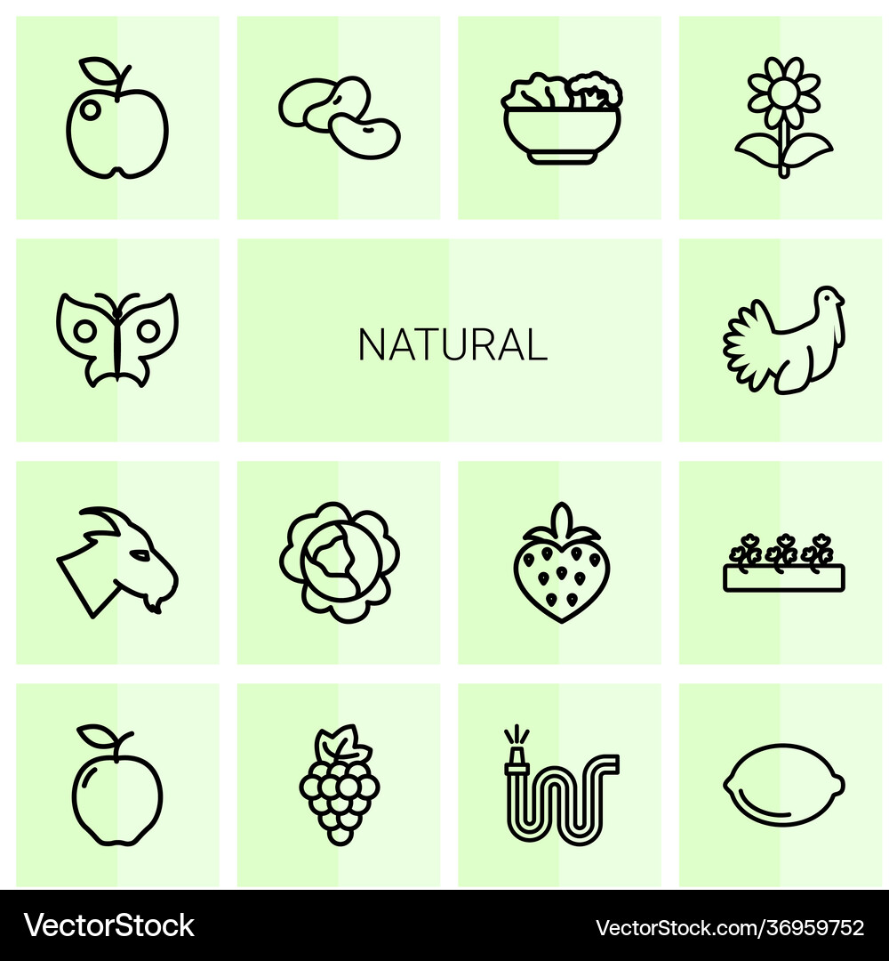 14 natural icons Royalty Free Vector Image - VectorStock