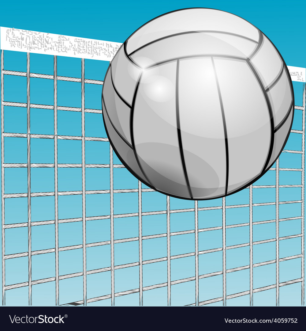 Ball and net Royalty Free Vector Image - VectorStock