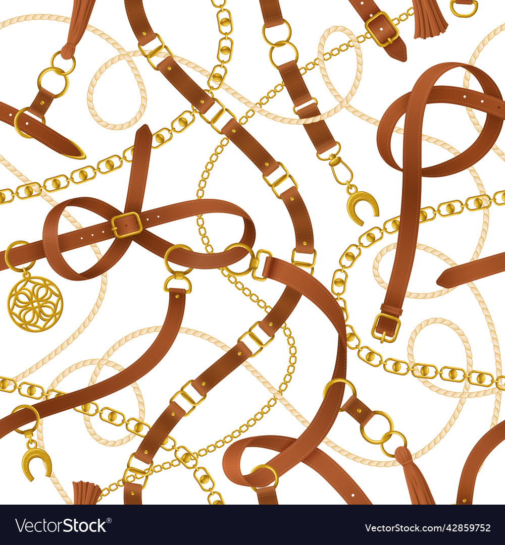 Belt seamless pattern Royalty Free Vector Image