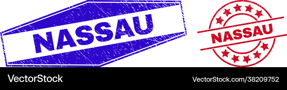 Nassau textured badges in round and hexagonal Vector Image