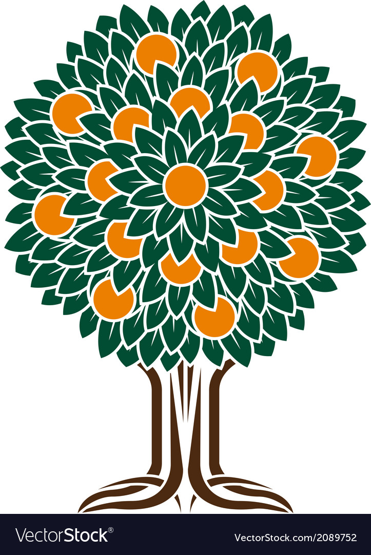Orange tree Royalty Free Vector Image - VectorStock