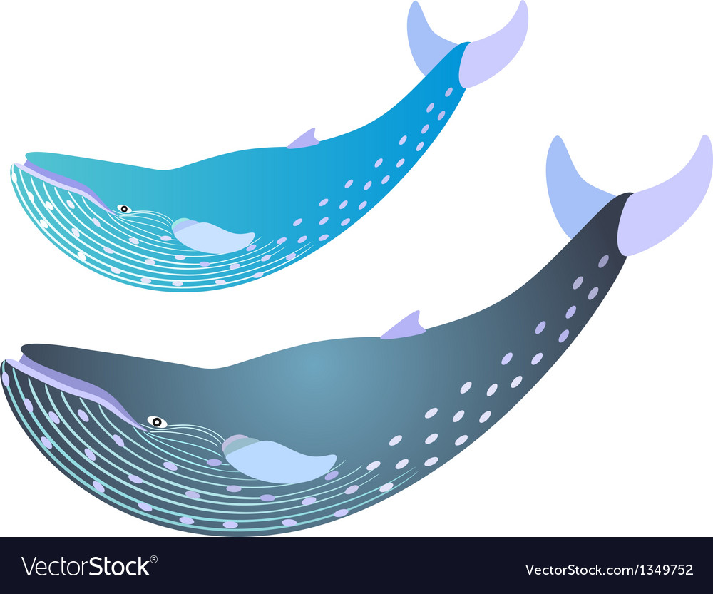 Whale Royalty Free Vector Image - VectorStock