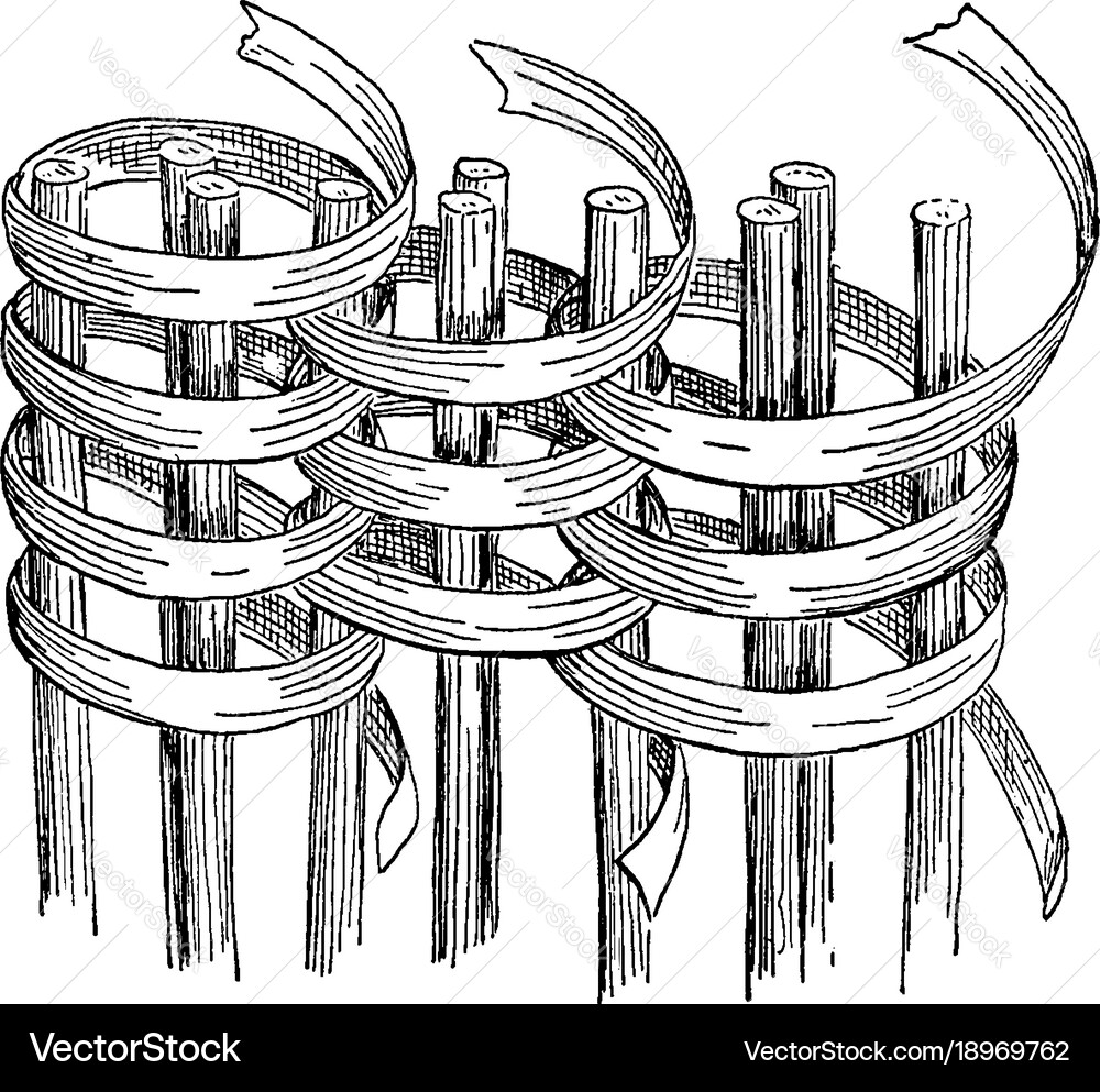 Coiled work basket weave are made by sewing over Vector Image