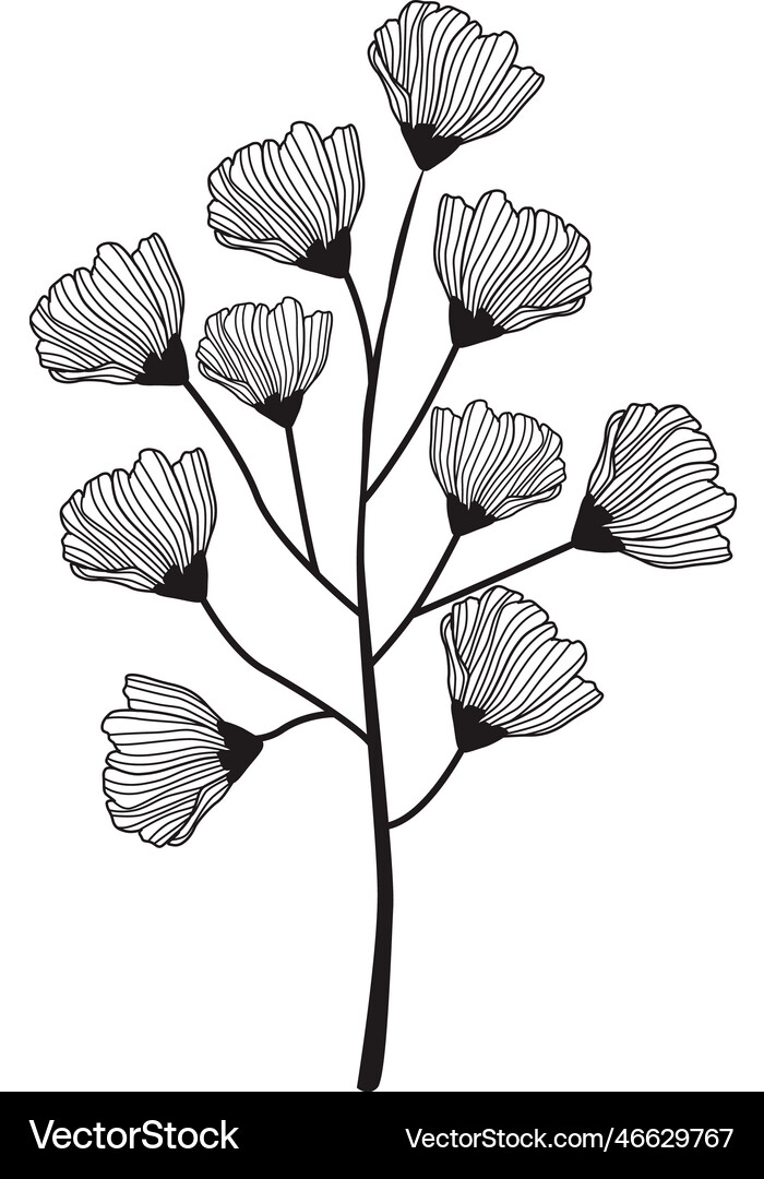 Branch with flower plant Royalty Free Vector Image