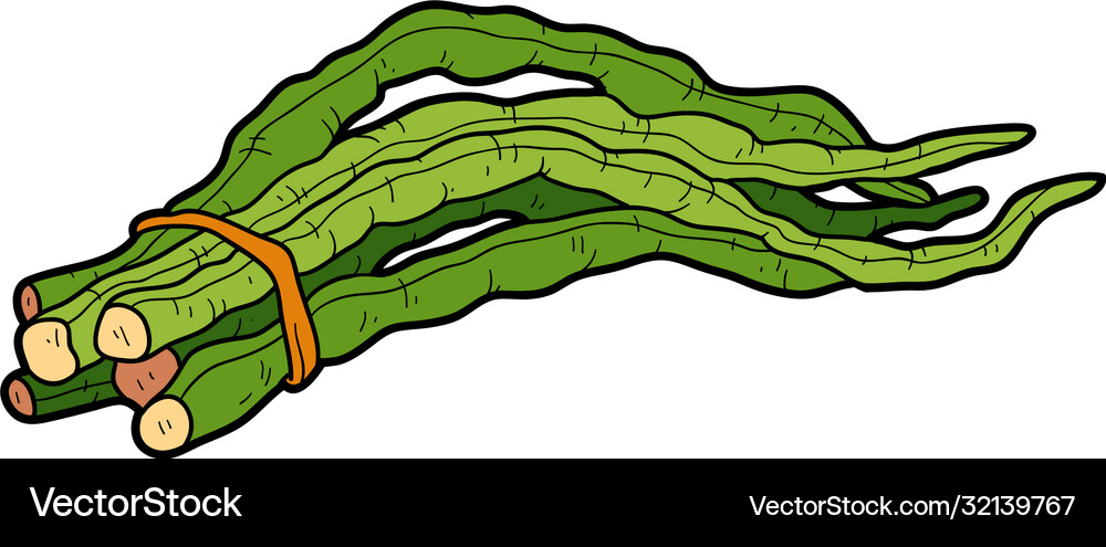 Color vegetables chinese long bean Royalty Free Vector Image