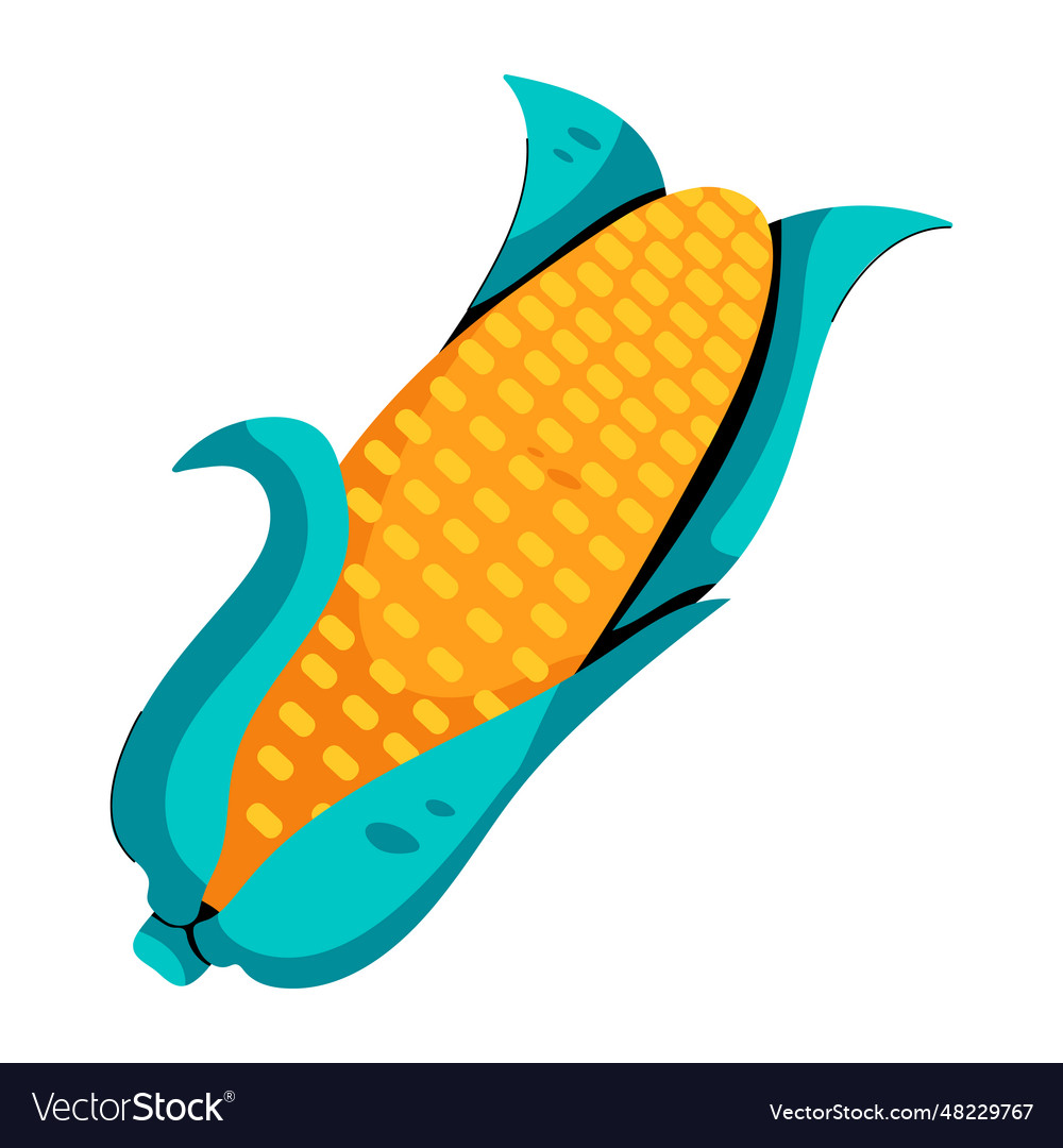 Fresh corn Royalty Free Vector Image - VectorStock