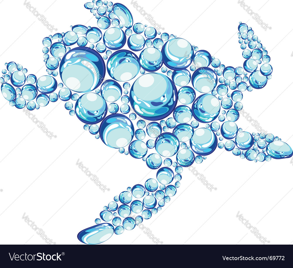 Bubbles turtle Royalty Free Vector Image - VectorStock