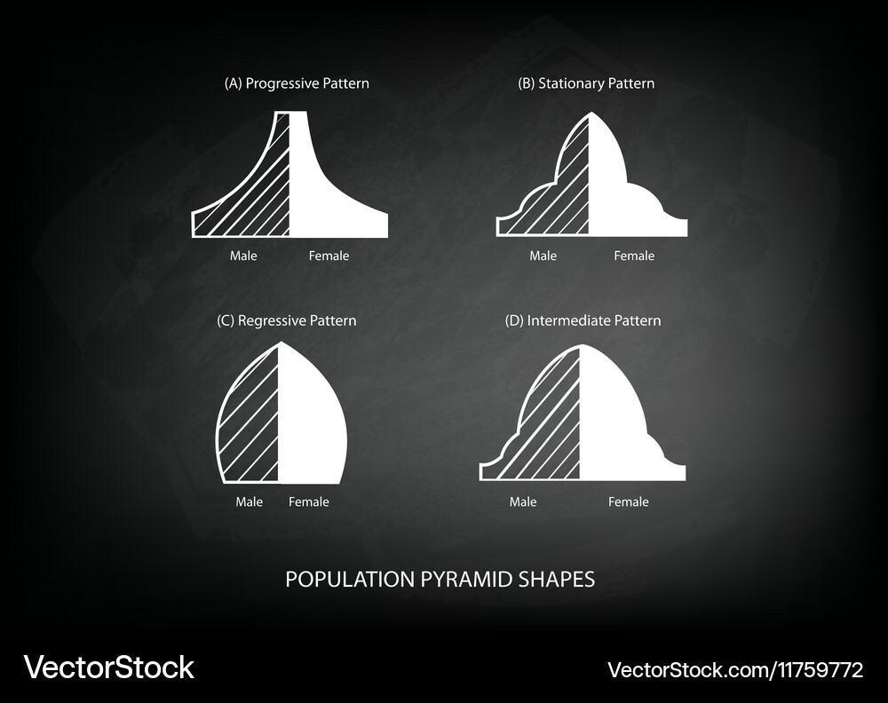 Four Types of Population Pyramids on Chalkboard Vector Image