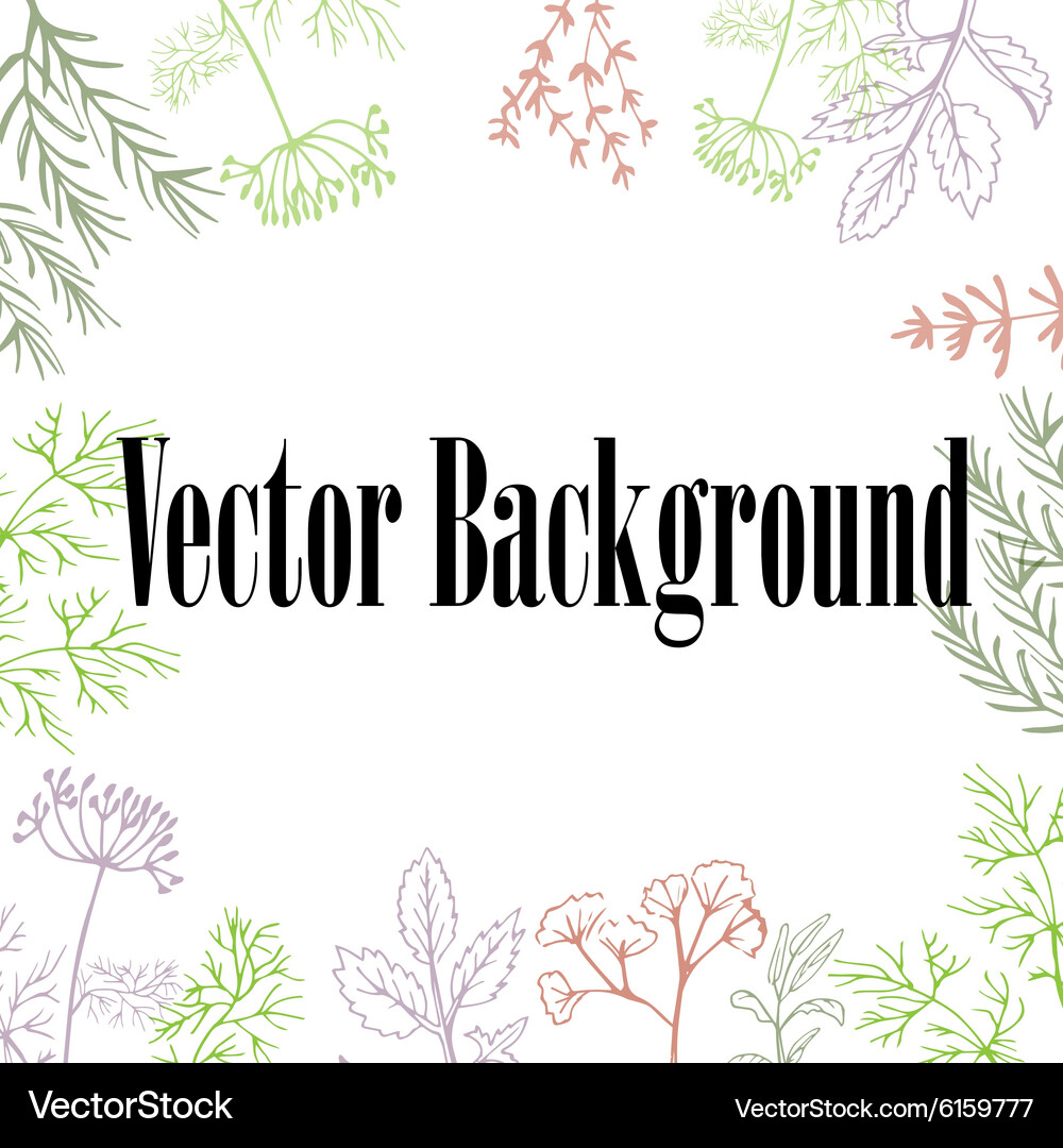Background hand drawn herbs and spices Royalty Free Vector