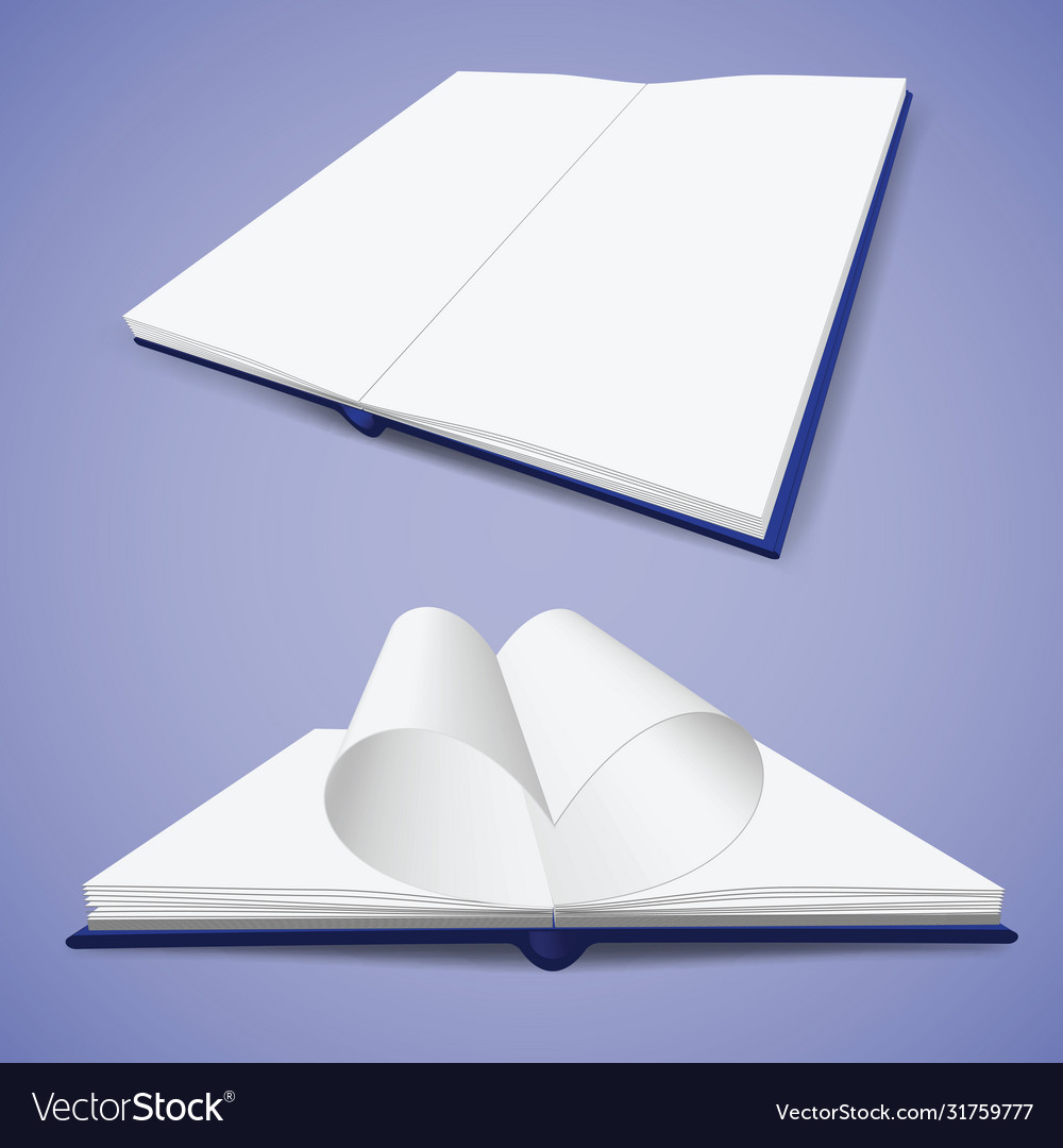 Opened book Royalty Free Vector Image - VectorStock
