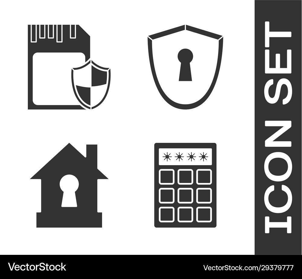 Set password protection and safety access sd Vector Image