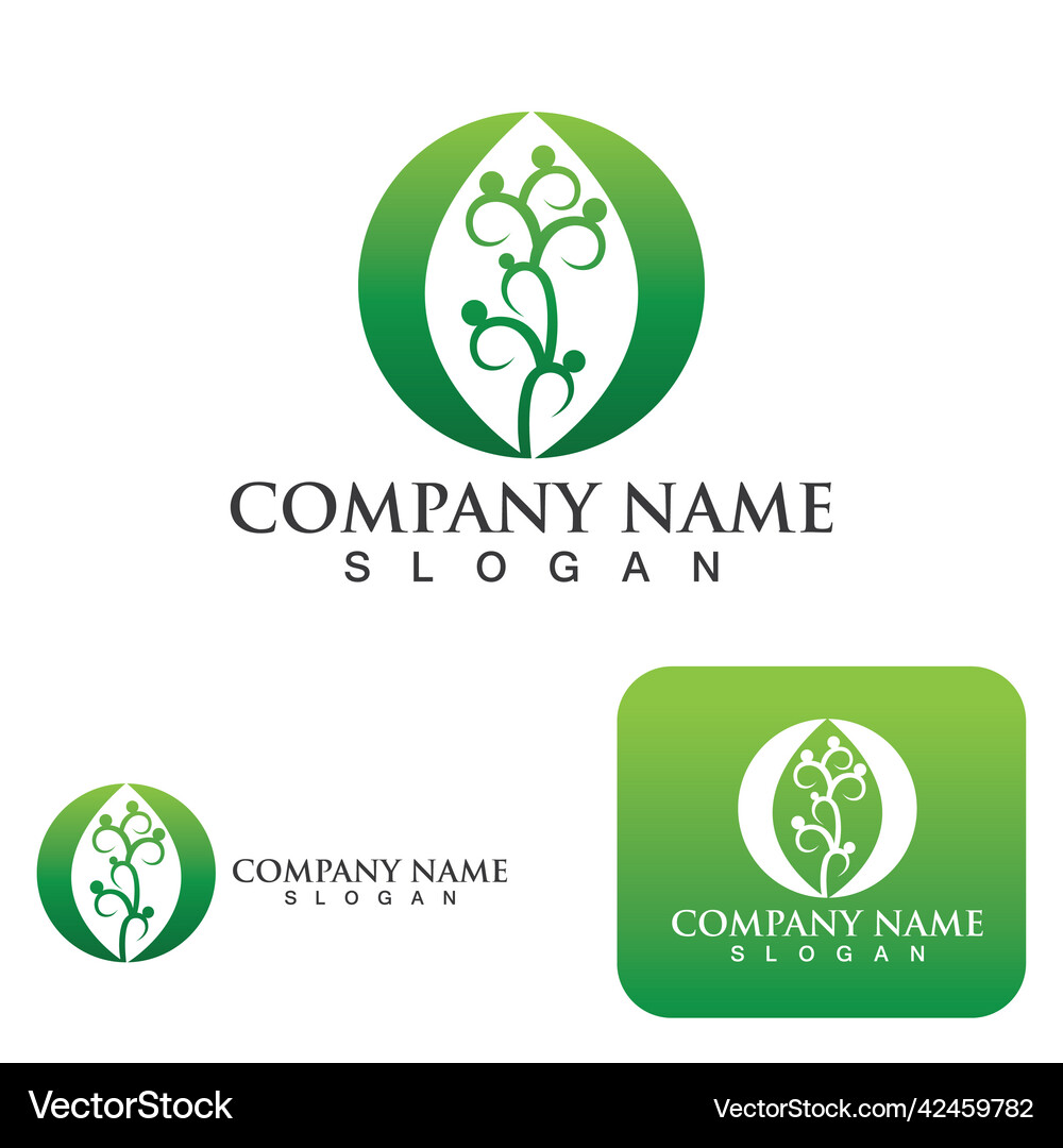 Betel leaf logo and symbol Royalty Free Vector Image