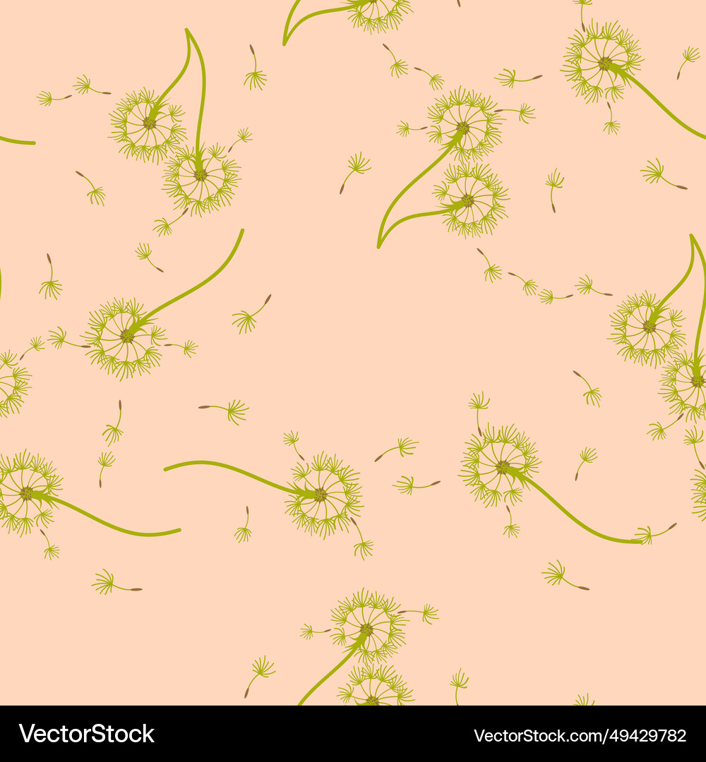 Dandelion background your design abstract floral Vector Image