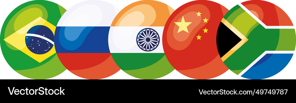 Brics association investment Royalty Free Vector Image