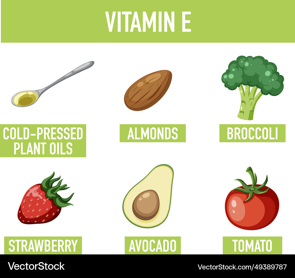 Educational poster foods containing vitamin e Vector Image