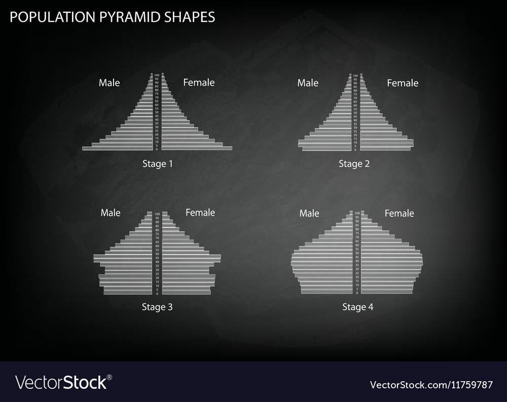 Four types of population pyramids on chalkboard Vector Image