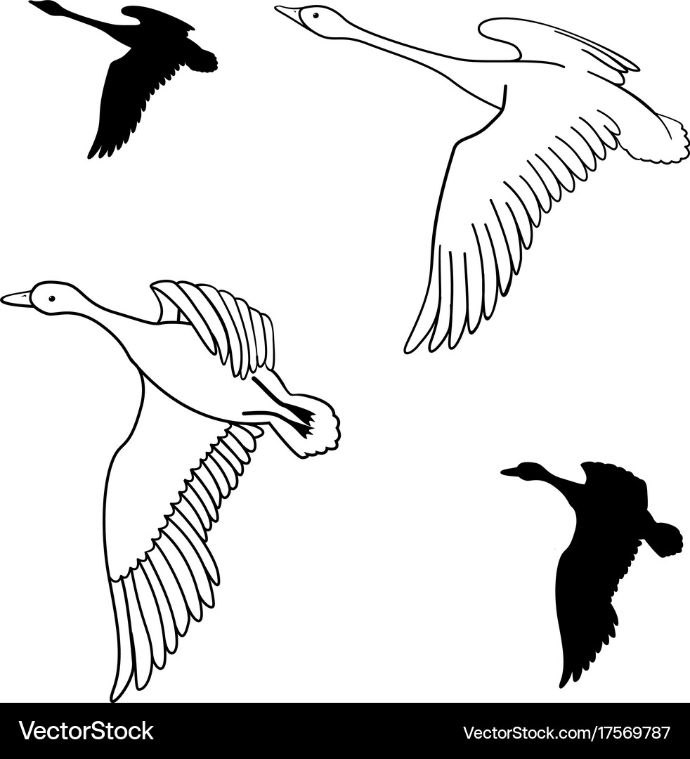 Set of flying wild ducks Royalty Free Vector Image