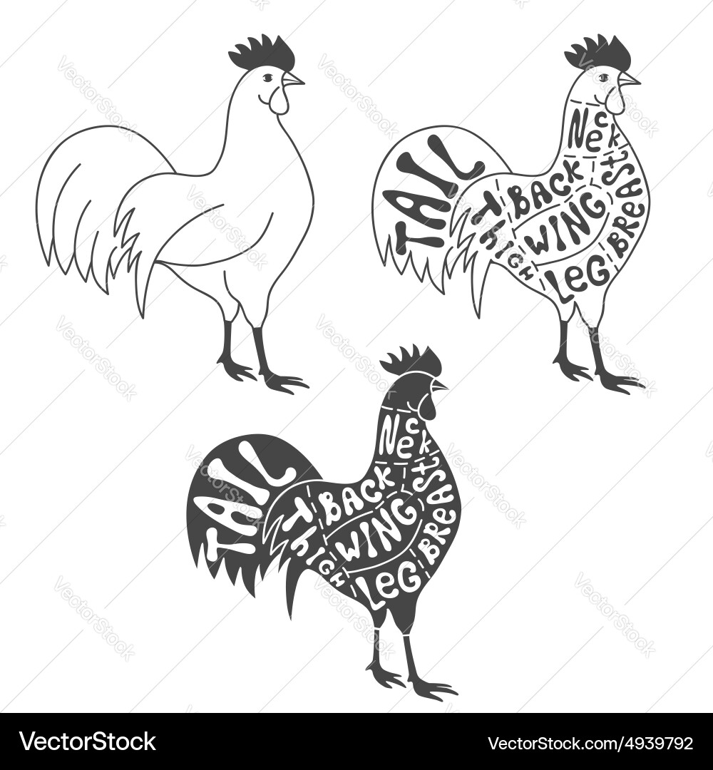 Butcher cuts scheme of chicken Royalty Free Vector Image